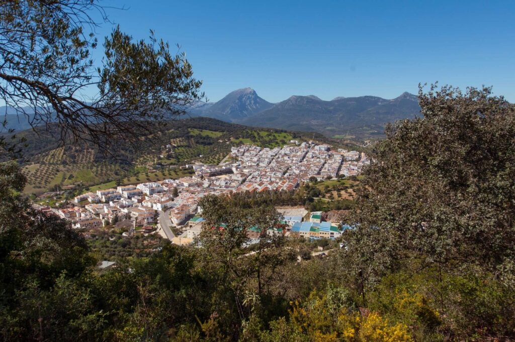 Qué ver en Prado del Rey, España【 2025